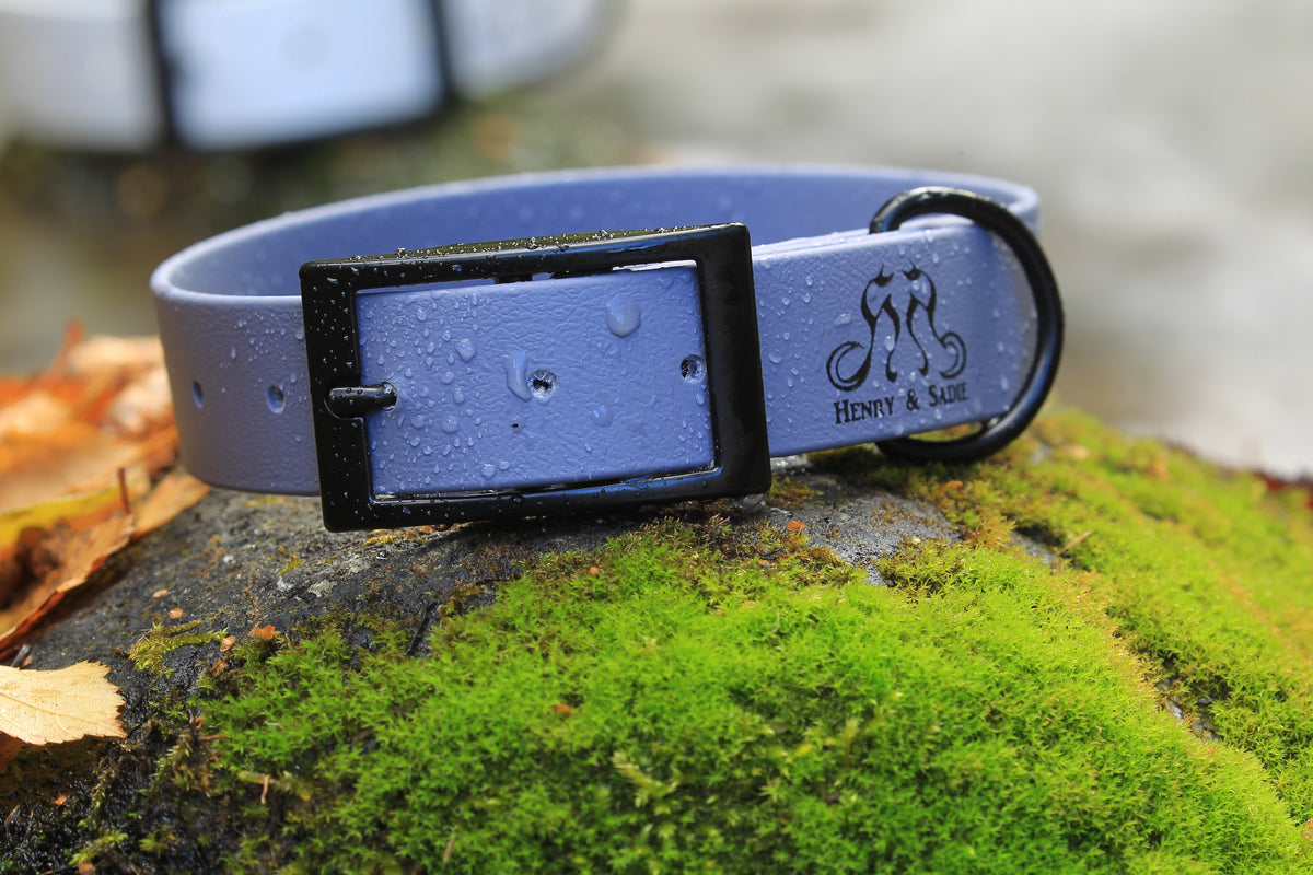 What is Beta Biothane? – Henry&Sadie